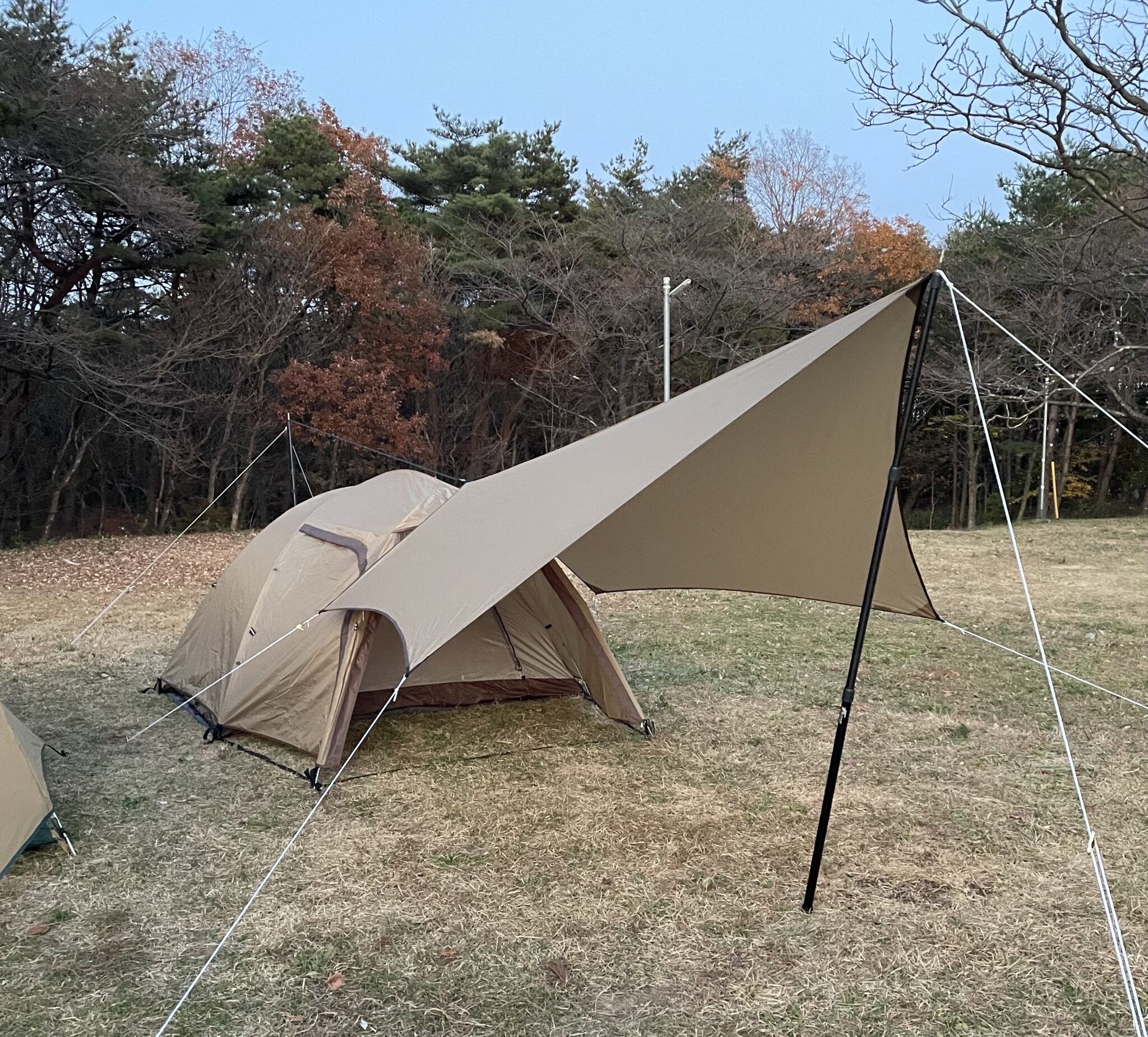 【ogawa】ステイシーst2を正直レビュー！ ファルダやヴィガスとの違いは？ | たろの漢の趣味満喫ガレージ